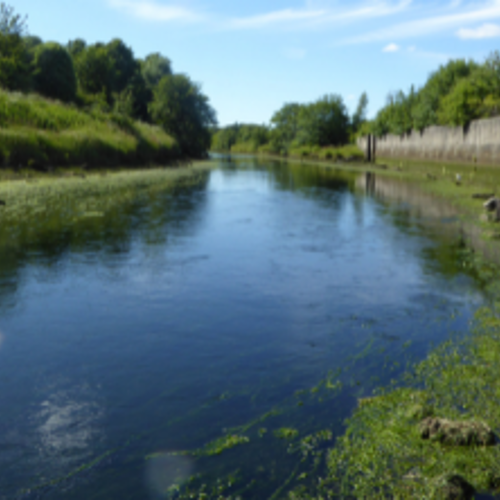 River Leven Photography Competition 2021 | The Leven Programme