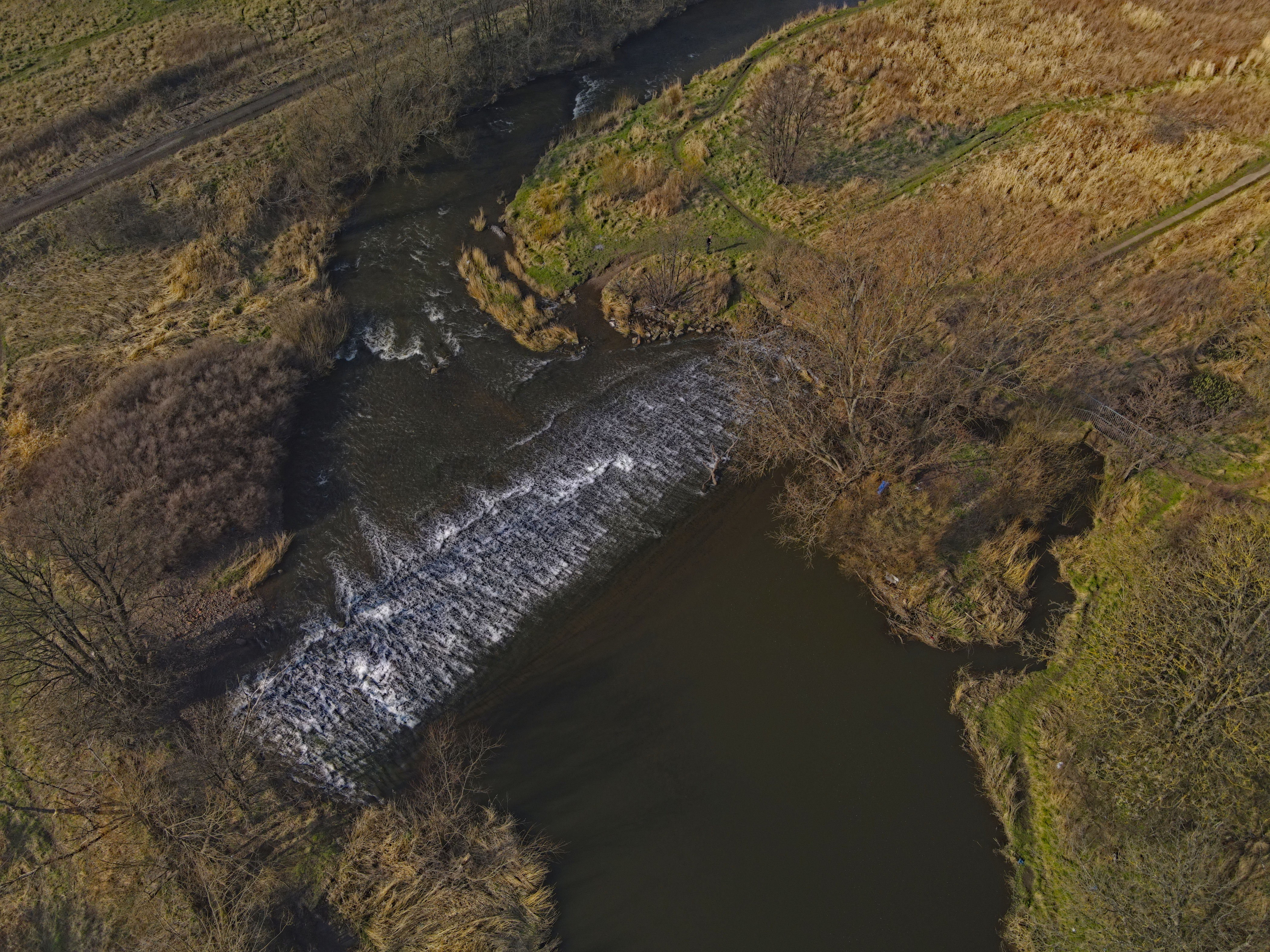 Projects | The Leven Project