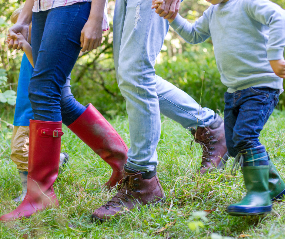 Projects | The Leven Project